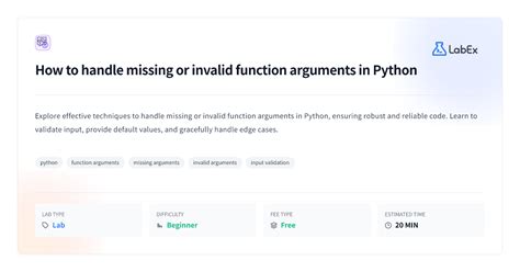 Python 함수 인자 처리 누락 및 유효성 검사 가이드 Labex