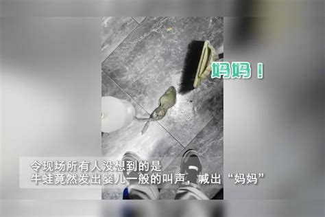 牛蛙被宰杀时突然逃跑，下一秒竟发出婴儿叫声，听清内容不淡定了婴儿叫声内容