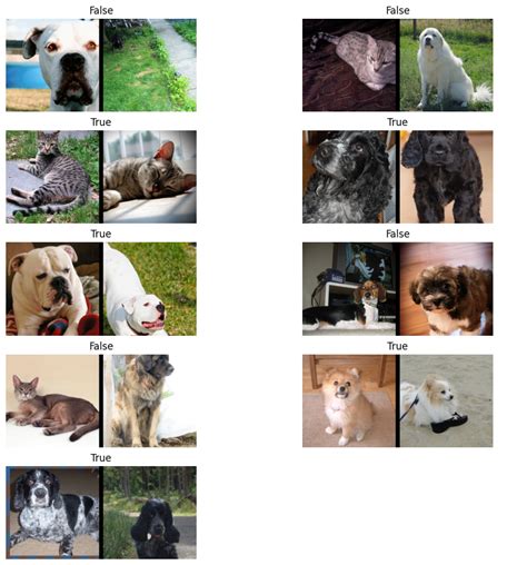 Siamese Networks With Fastai Update Julius Data Science Blog