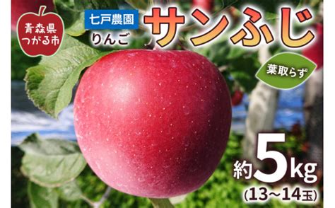 りんご サンふじ 葉取らず 大玉 約5kg 13～14玉｜青森県産 青森県 青森 つがる市 青森産 津軽 つがる 青森りんご リンゴ 林檎