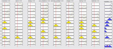 the frame of reference as a fuzzy criterion for reactive firms type