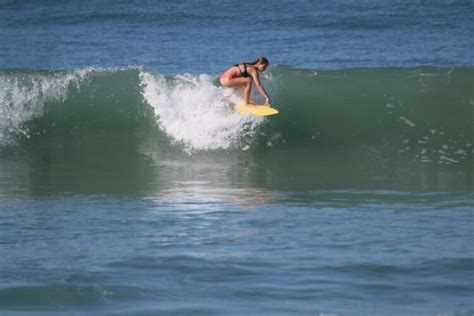 4 Hot Sexy Dani Nemeh Bikini Pics