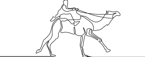Camel Line Drawing Vector Images Over 880