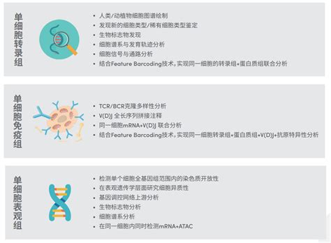 单细胞测序服务