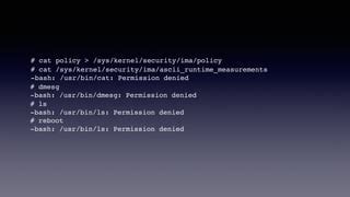 Linux Integrity Mechanisms Protecting Container Runtime As An Example