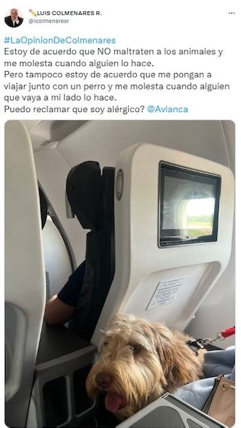 Papá De Luis Andrés Colmenares Se Quejó Porque Lo Obligaron” A Viajar