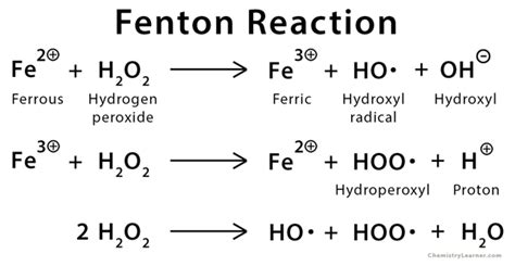 Fenton Reaction Definition And Reagent