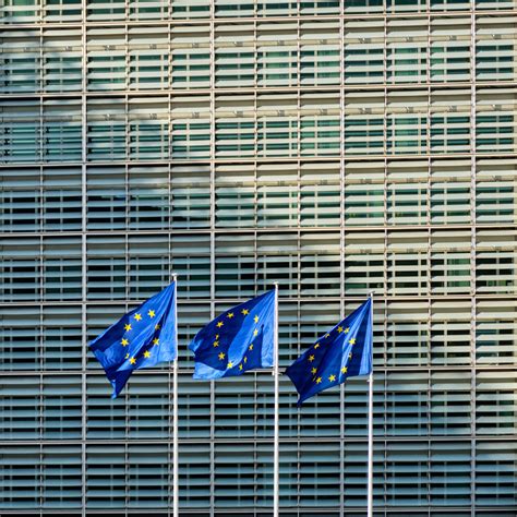 Csrd Omnibus Delay A Strategic Opportunity For Businesses