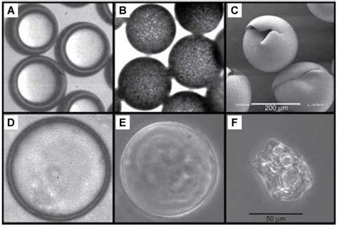 Core Shell Structures Fabricated From Double Emulsions Generated In A