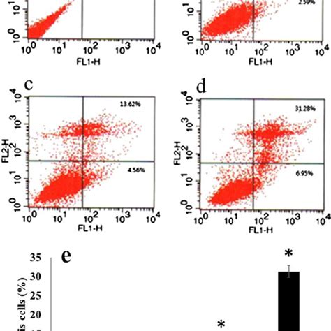 Flow Cytometry Analysis Of Apoptosis Cells In Eaf Treated Or Untreated