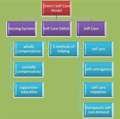 dorothea orem s self care theory nursing theory orem theory care agency