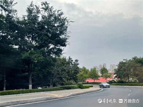 大风、降温、北部局部有轻霜冻！青岛发布农业气象灾害预警影响冷空气生产