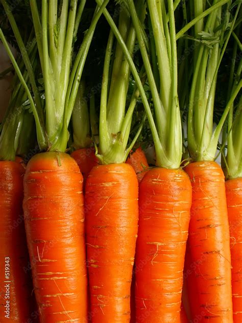 carrots Stock-Foto | Adobe Stock