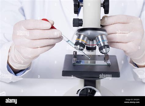 Closeup Of A Scientist Examining Toxic Substances For Food Under A Microscope In A Laboratory