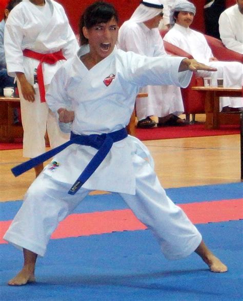 If You Like Our Pins And Would Like More Martial Arts Articles Dont
