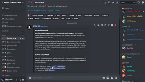 Create Professional Discord Server By Dionne0211 Fiverr