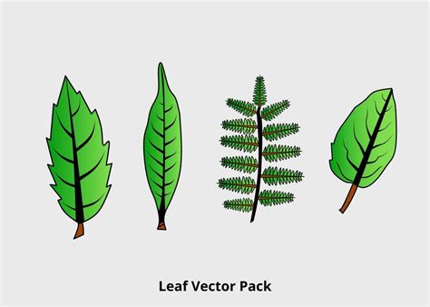 Leaf Animation Vector Art Icons And Graphics For Free Download