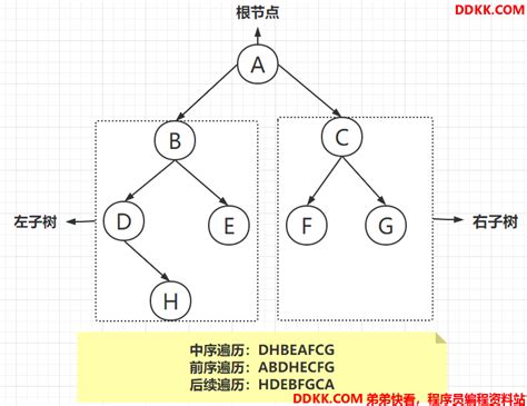 数据结构与算法 基础：二叉树 弟弟快看 教程