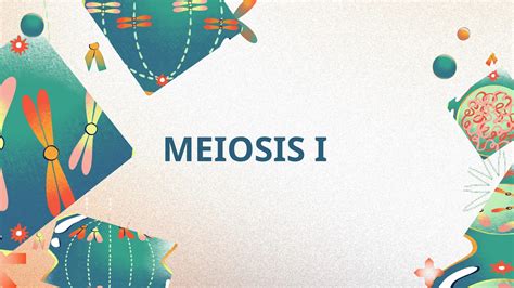 The Process Of Meiosis Also Known As Pmat Pptx