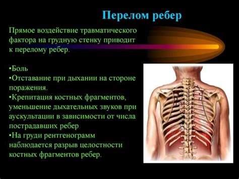 Первая помощь при переломе ребер у пострадавшего: что необходимо ...