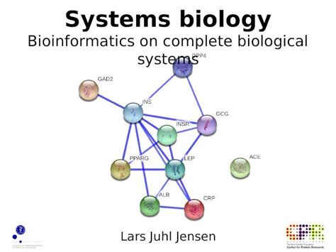 Ppt Systems Biology Bioinformatics On Complete Biological Systems