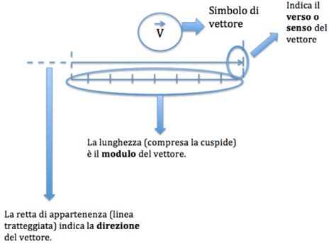 Grandezze Scalari E Vettoriali