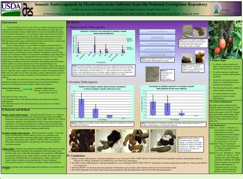 Somatic Embryogenesis Poster Final Version 091813 645 Pm Pdf