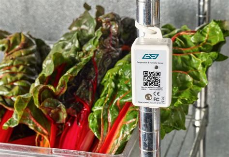 Lorawan Powered Sensors Outperform Wifi And Bluetooth Glaciergrid