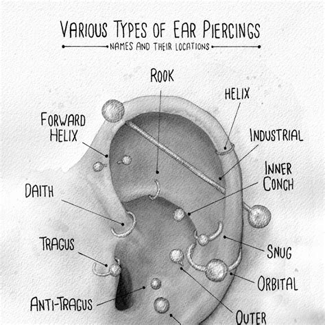 Watercolor Ear Piercing Chart Poster Black And Gray Art Various Ear