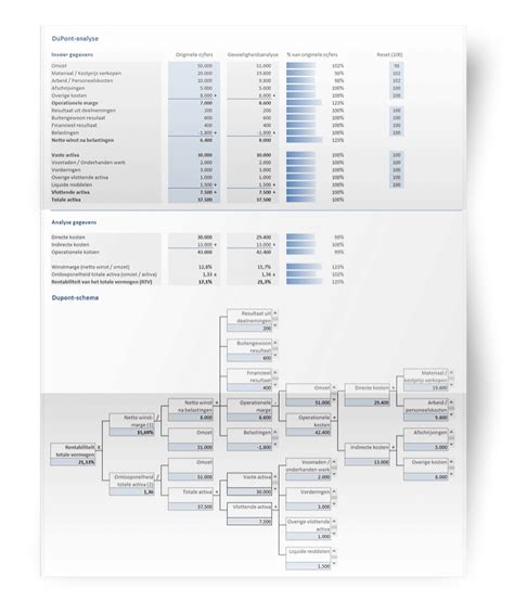 Dupont Analyse Maken In Excel Inclusief Gevoeligheidsanalyse