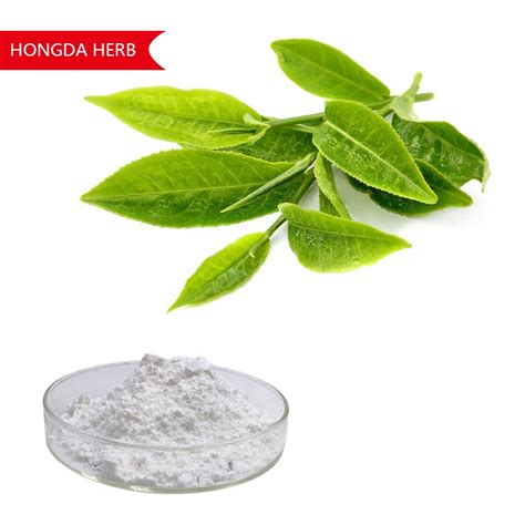 L Theanine 98 Hplc Hongda Online More Than 20 Years Herb Extract