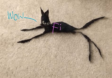 An Enfp In An Fi Si Loop With Reddit Coins To Burn Is Spiralling Out Of