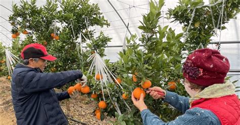 진천군 올해도 기업유치로 확보한 세수입 농업에 투자