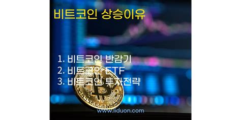 2024년 비트코인 상승이유 가상화폐 투자전략 가격 전망 알트코인 영향성 등 알아보기