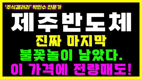 제주반도체 매집세력의 마지막 필살기 지금 털리면 끝입니다 Youtube
