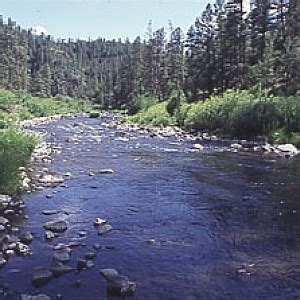 Black River Arizona East West North Forks Hookedaz Arizona
