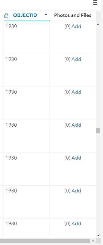 duplicate objectids features in view layer esri community