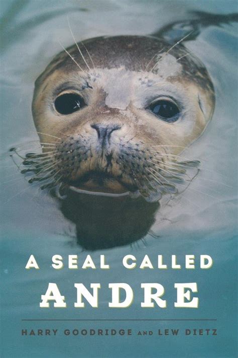 A Seal Called Andre Goodridge Harry Książka w Empik