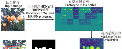 High Resolution Net structure 表 2 用于特征提取的 HRNet 骨干网络 Download