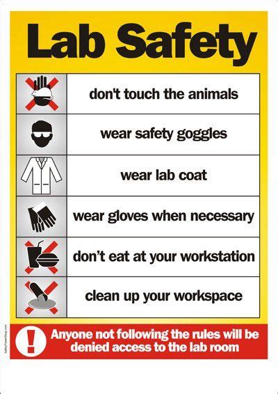 Best Science Safety Rules Images Science Safety Science Safety Rules Science Lab Safety