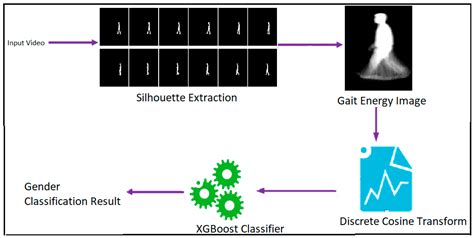 Robust And Lightweight System For Gait Based Gender Classification