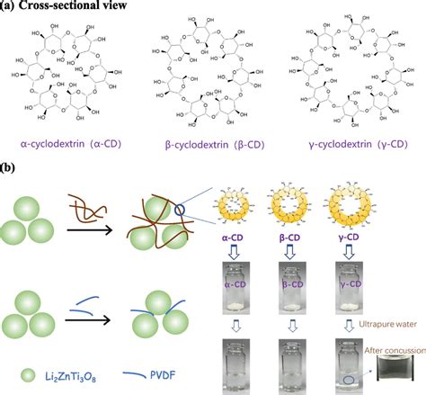 A Structural Formulas And Graphical Representations Of α Cyclodextrin Download Scientific