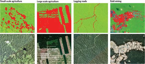Satellite Imagery Is Helping Governments To Combat Deforestation