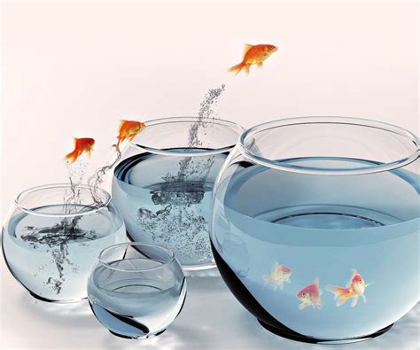 Mobile Migration The Convergence Of Web And Mobile… By Rob Banning Medium