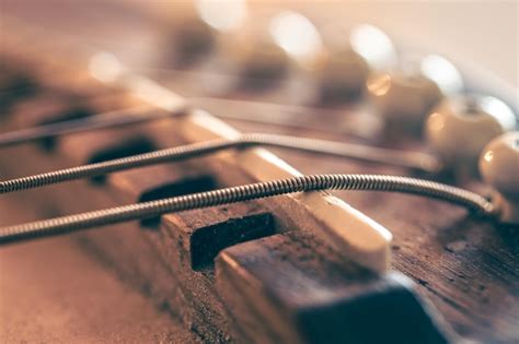Strings Instruments 이미지 Freepik에서 무료 다운로드