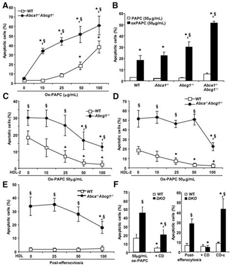 Abca1 And Abcg1 Protect Against Oxidative Stress Induced Macrophage