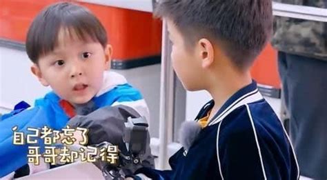 杨安迪大麟子大麟子大麟子现在第14页大山谷图库