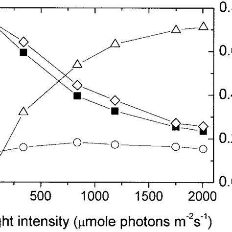 Typical Chlorophyll A Fluorescence Yield Parameters During Steadystate Download Scientific