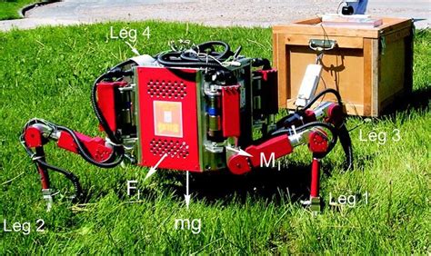 Quadruped Robot Silo4 Walking On Natural Terrain Pulling A Load
