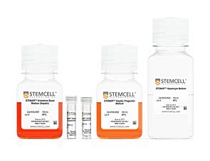 STEMdiff Definitive Endoderm Differentiation Kit STEMCELL Technologies